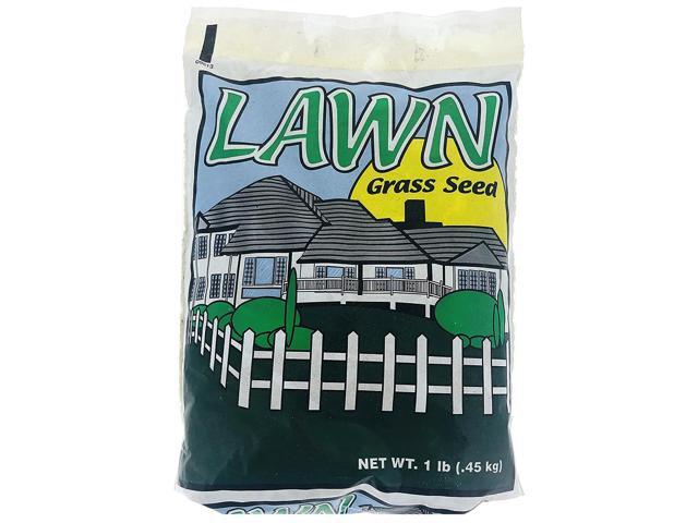 Click here for Shade Master Lawn Grass Seed  1 lb. prices