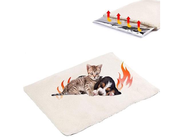 Click here for Innovative Living Self-Warming Pet Cushion - 24 x... prices