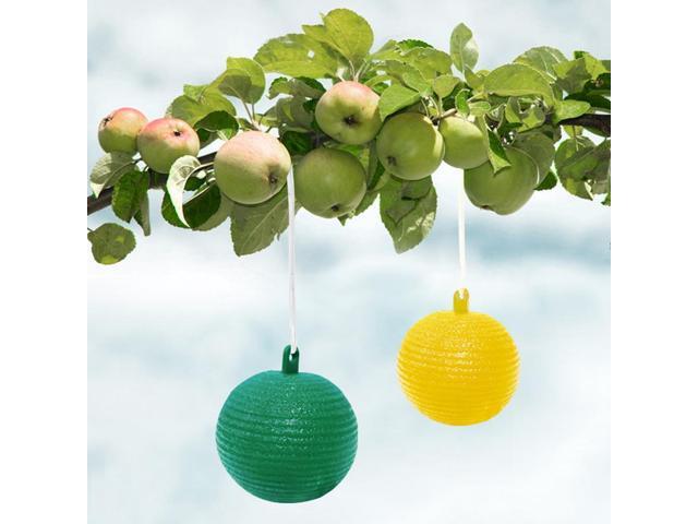 Click here for Hanging Fly Trap Ball Fruit Fly Catcher prices