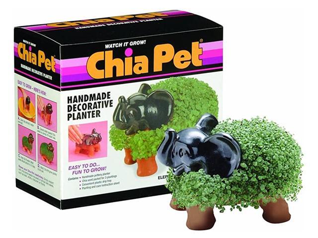 Click here for Chia Pet Planter - Elephant prices