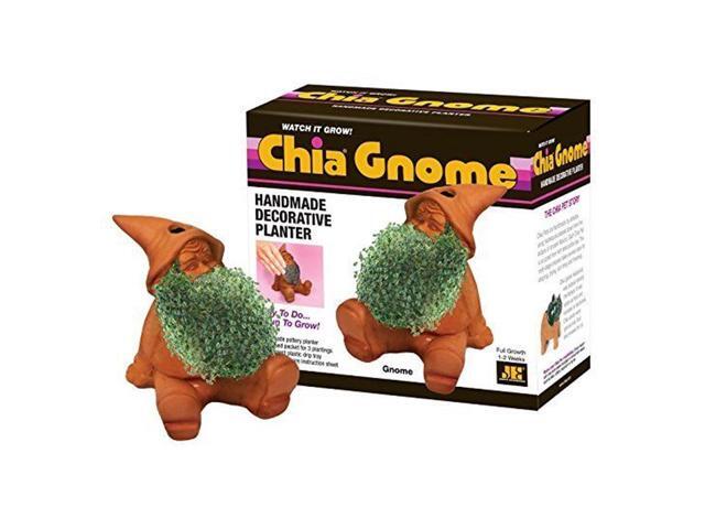 Click here for Chia Pet Planter - Gnome prices