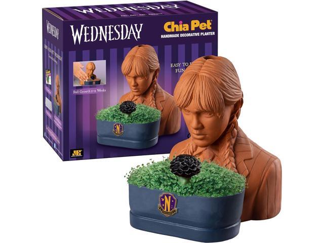 Click here for Chia Pet Planter - Wednesday prices