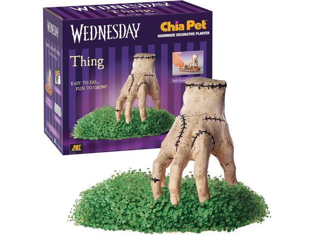 Click here for Chia Pet Planter - Thing prices