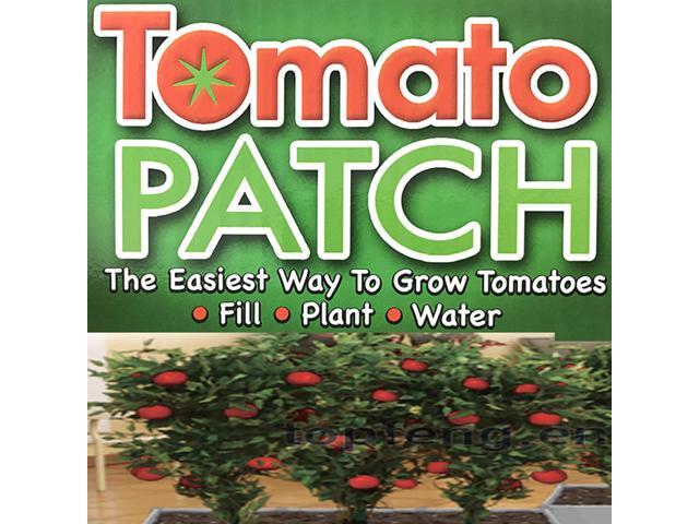 Click here for Tomato Patch Indoor Gardening System prices