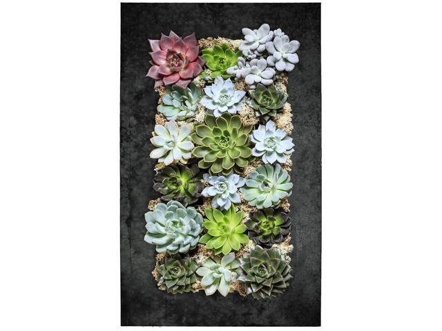 Click here for Modern Home Living Wall Galvanized Steel/Zinc Succ... prices