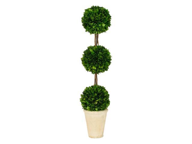 Click here for Vandue 24 Real Natural Preserved Boxwood Triple Ba... prices