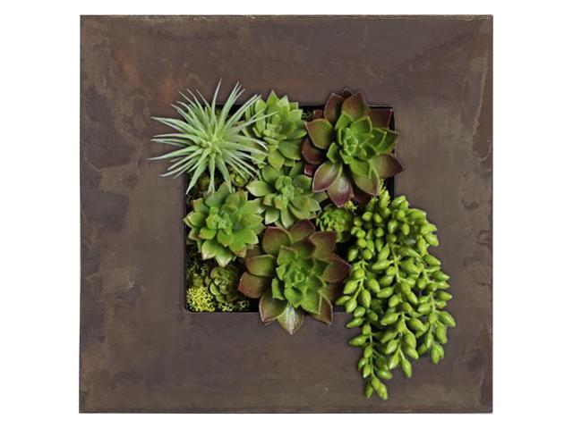 Click here for Modern Home Living Wall Galvanized Steel/Zinc Succ... prices