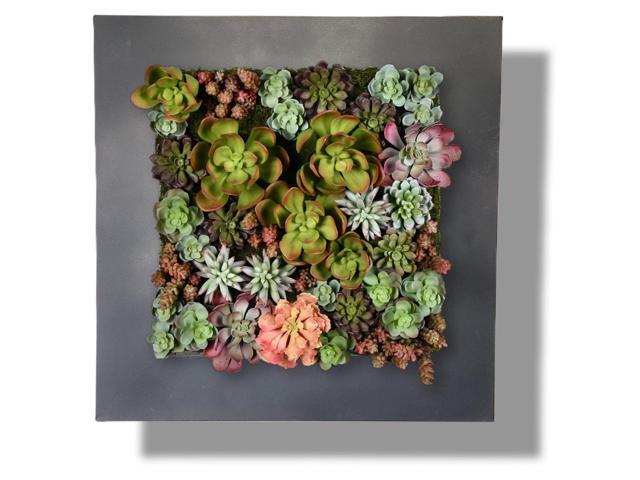 Click here for Modern Home Living Wall Galvanized Steel/Zinc Succ... prices