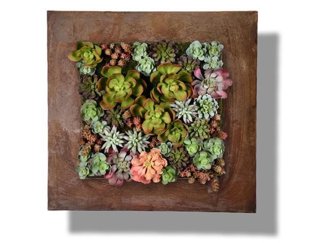 Click here for Modern Home Living Wall Galvanized Steel/Zinc Succ... prices