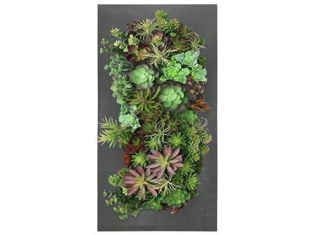 Click here for Modern Home Living Wall Galvanized Steel/Zinc Succ... prices
