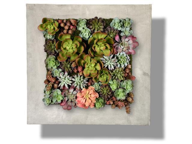 Click here for Modern Home Living Wall Galvanized Steel/Zinc Succ... prices