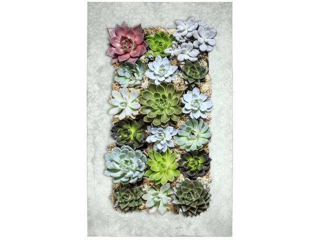 Click here for Modern Home Living Wall Galvanized Steel/Zinc Succ... prices