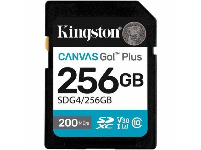 Click here for Kingston Canvas Go! Plus 256 GB Class 10/UHS-I (U3... prices