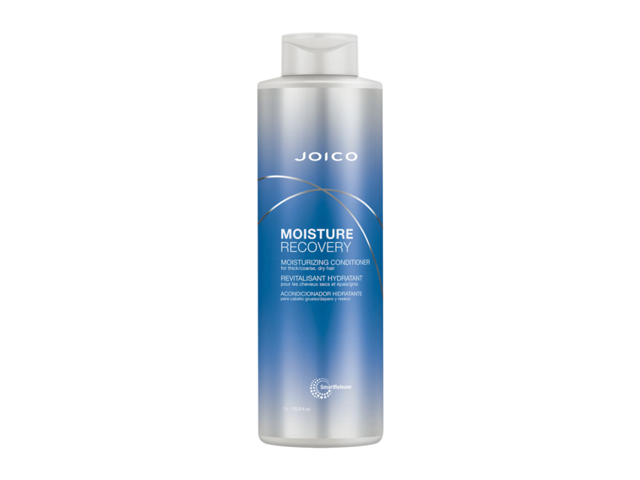 Click here for Joico Moisture Recovery Conditioner Liter prices