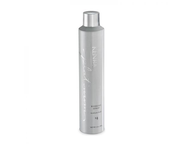 Click here for Kenra Platinum Working Spray 10oz prices