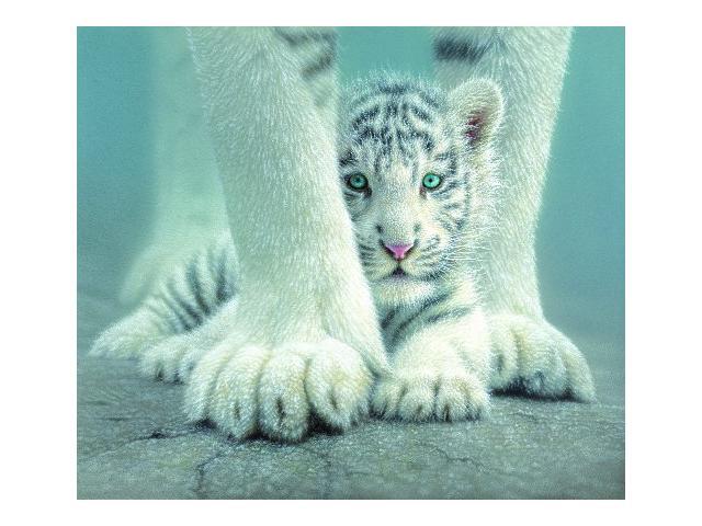 Click here for Sheltered 550pc Jigsaw Puzzle by Colin Bogle SOIY1... prices