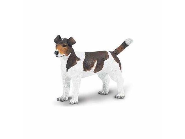 Click here for Safari: Jack Russel Terrier prices