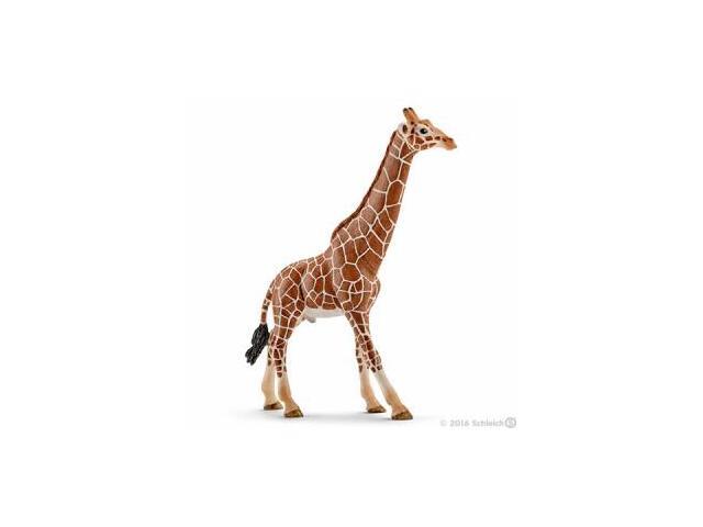 Click here for Giraffe Male by Schleich - 14749 prices