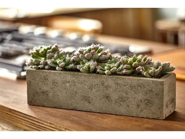 Click here for Nearly Natural 4544 Succulent Garden With Textured... prices