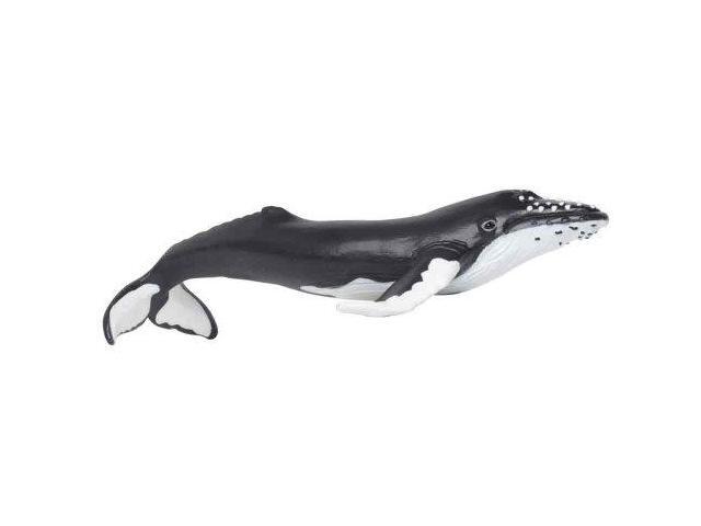 Click here for Safari Ltd Humpback Whale Sea Life - Open Miscella... prices