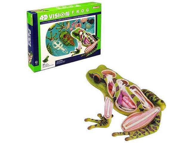 Click here for 4D Vision Frog Model prices