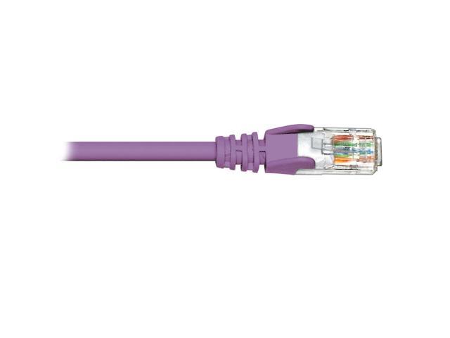 Click here for Cat6 Patch Cable - Purple  75ft Purple prices