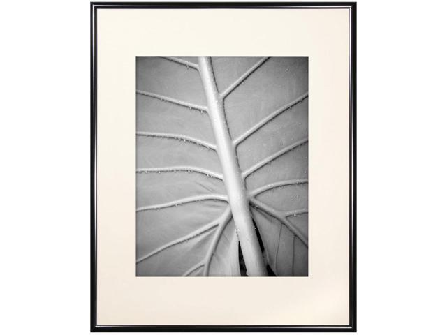 Click here for MCS Classic Aluminum 16x20 Frame  Black #44603 prices