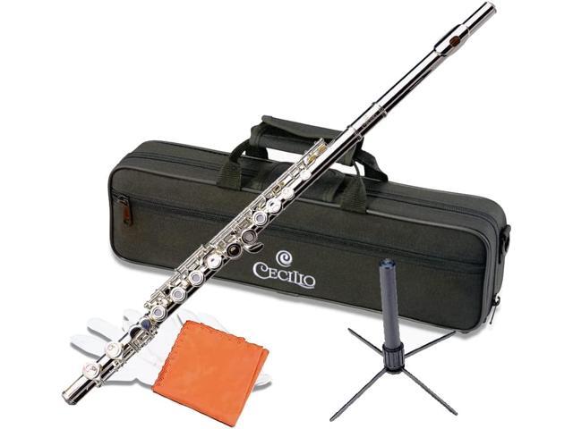 Click here for Cecilio Closed Hole C Flute for Kids & Beginner/In... prices