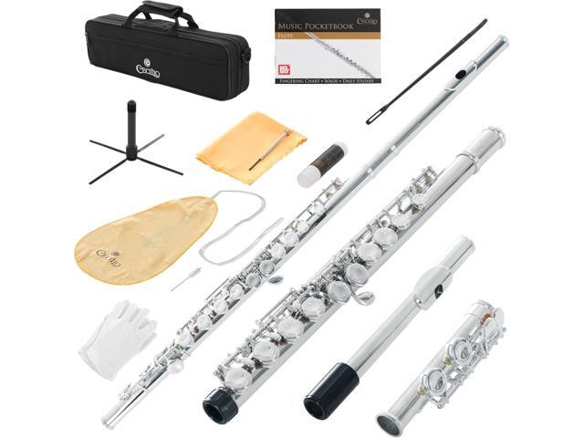 Click here for Cecilio Closed Hole C Flute for Kids & Beginner/In... prices