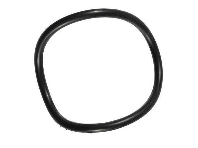 Click here for DAYTON PPTPXX502G O-Ring  PPTPXX502G prices
