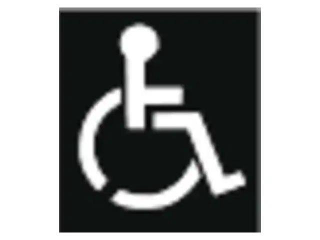 Click here for ZORO SELECT 3W635 Traffic Stencil  Symbol  Handica... prices