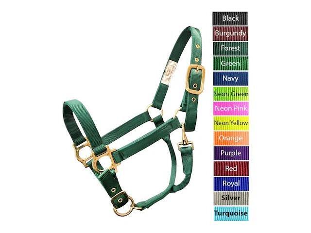 Click here for VALHOMA 3360-BK-L Valhoma BACS Halter BLACK 1100-1... prices