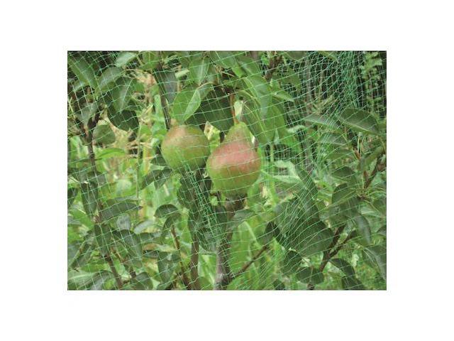 Click here for TENAX 2A090071 Ortoflex Bird Netting prices