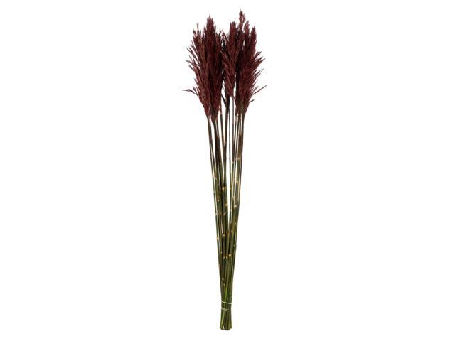 Click here for 36 Merlot Plume Reed Bundle 7oz prices