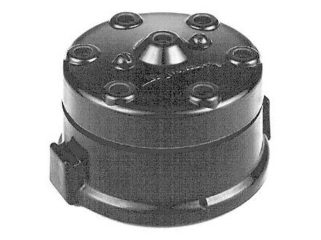 Click here for 1 SIGNATURE COLLAR prices