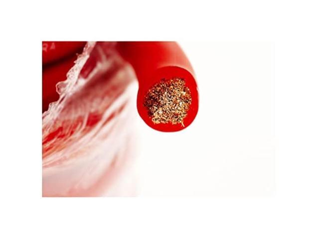 Click here for DEEJAYLED 2 00 RED COPPER CABLE prices