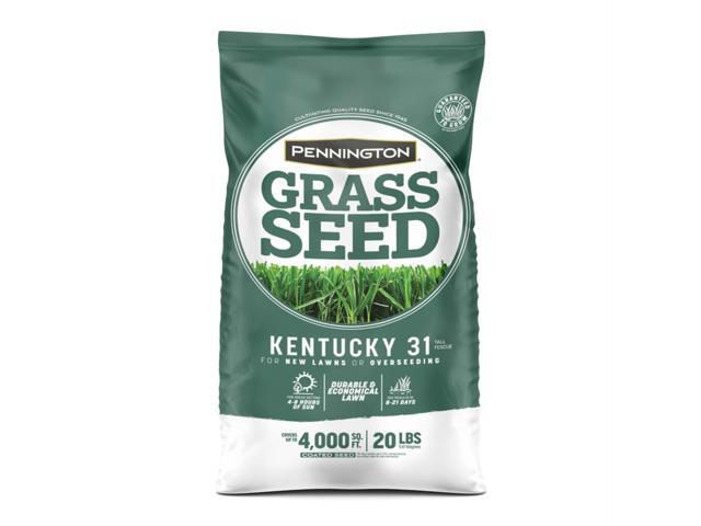 Click here for GRASS SEED KY31 TF 20# (Pack of 1) prices
