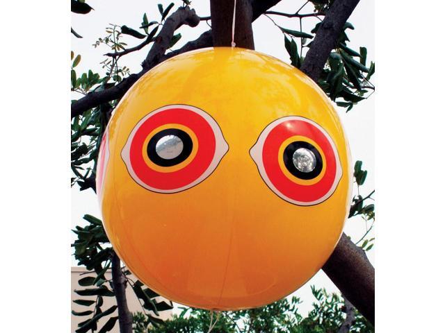 Click here for SCARE EYE BALLOON (Pack of 1) prices