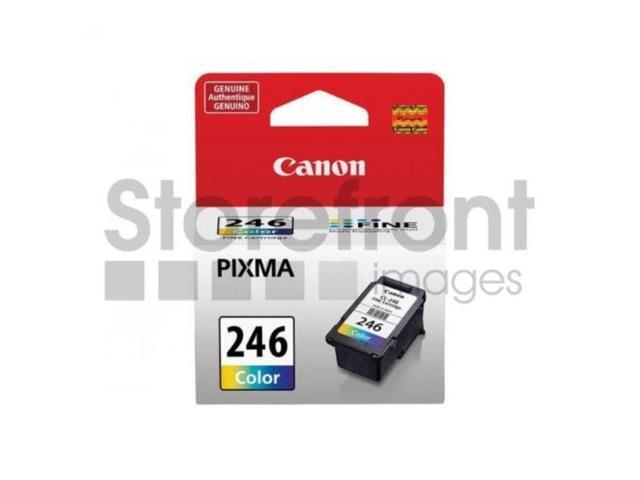 Click here for CANON BR MG2420 CL246 1-SD YLD COLOR INK prices