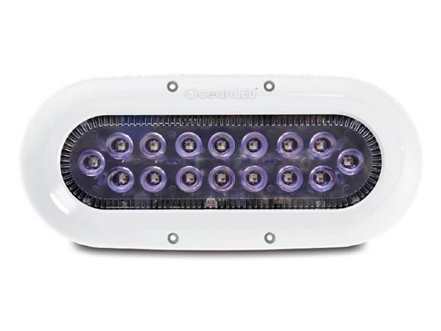 Click here for Oceanled X16 X-SERIES Color Changing L. E.D. prices