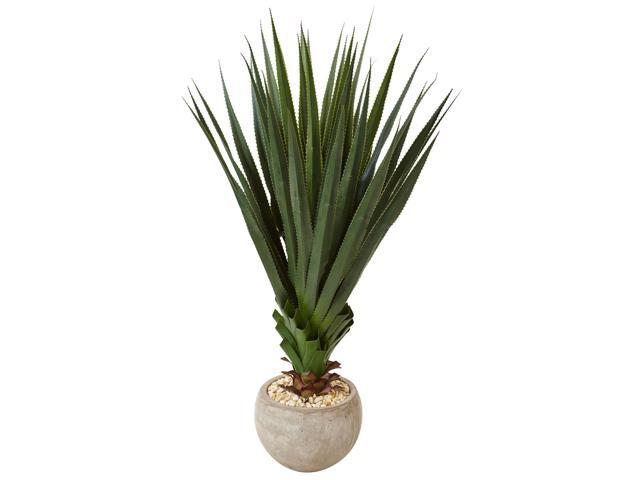 Click here for Spiked Agave in Sand Colored Bowl (Indoor/Outdoor) prices