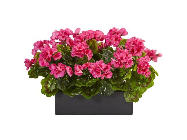 Click here for Geranium in Rectangular Planter UV Resistant (Indo... prices