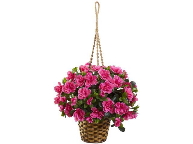 Click here for Azalea Hanging Basket prices
