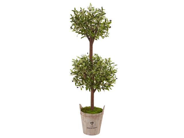 Click here for 5 Olive Tree in Farmhouse Planter prices
