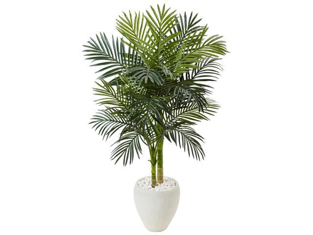 Click here for 4.5 Golden Cane Palm Tree in White Oval Planter prices