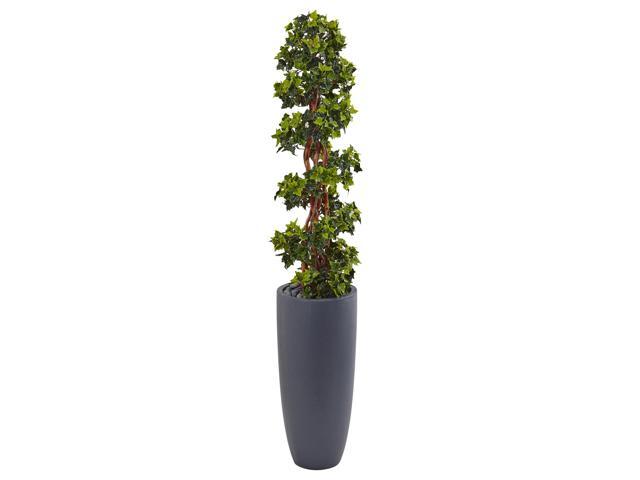 Click here for 5 English Ivy Spiral Topiary Tree in Gray Cylinder... prices