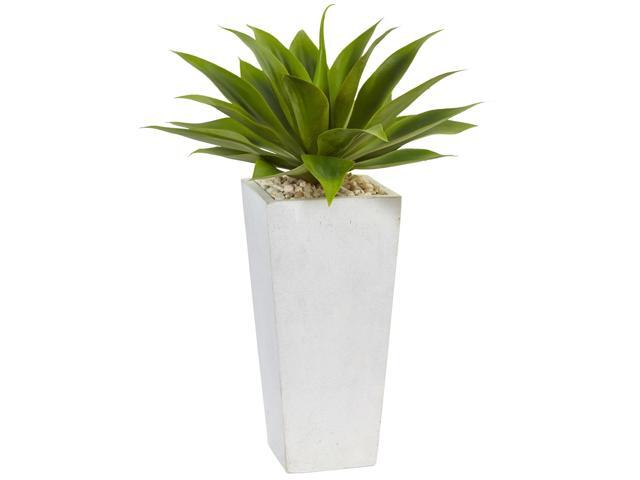 Click here for Agave in White Planter prices