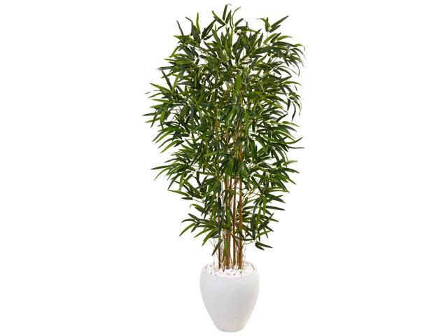 Click here for 5 Bamboo Tree in Oval White Planter prices