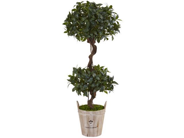 Click here for 4.5 Sweet Bay Double Topiary Tree in Farmhouse Pla... prices