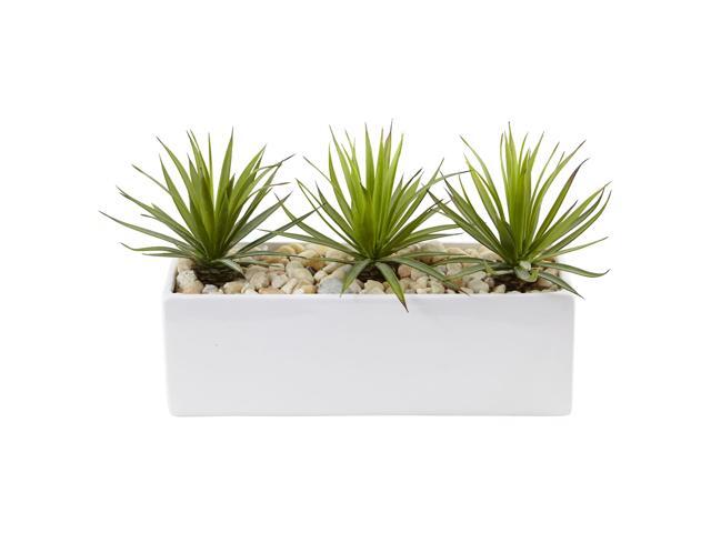 Click here for Mini Agave in Rectangular Ceramic prices